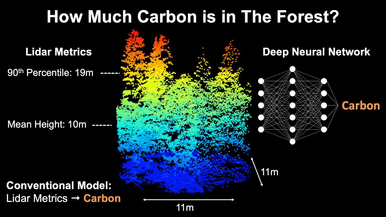 Harry Seely, 'Forest carbon models' : 2024 UBC 3MT Semi-finalist - YouTube