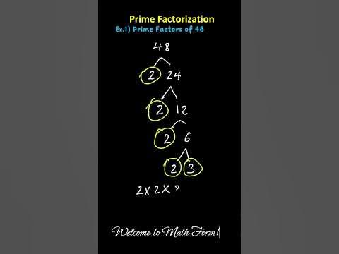 Prime Factorization | Math Form - YouTube