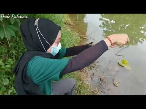ketika cewe cantik mancing belut, nariknya tidak ada kata ampun..