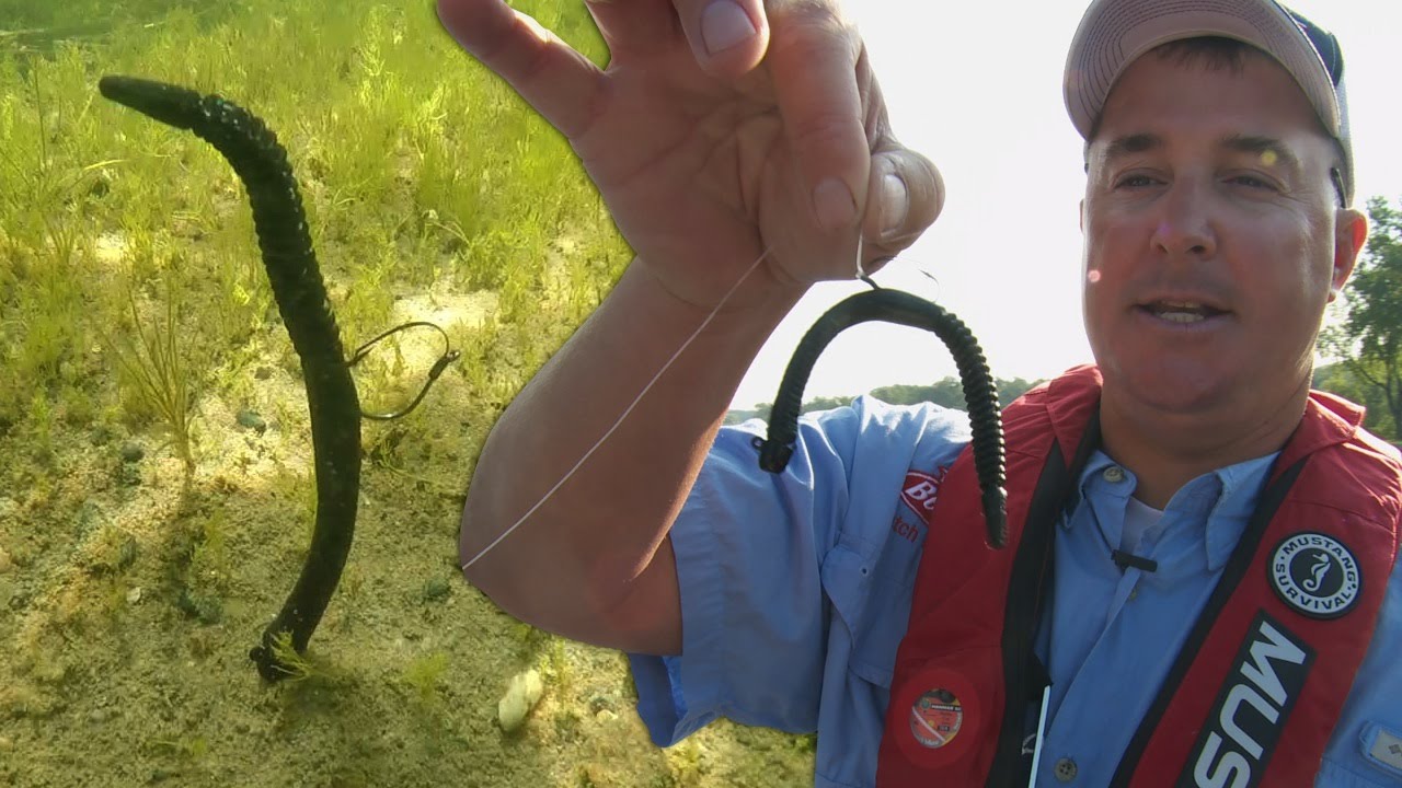 Tips on Bass Fishing the Neko Rig - YouTube