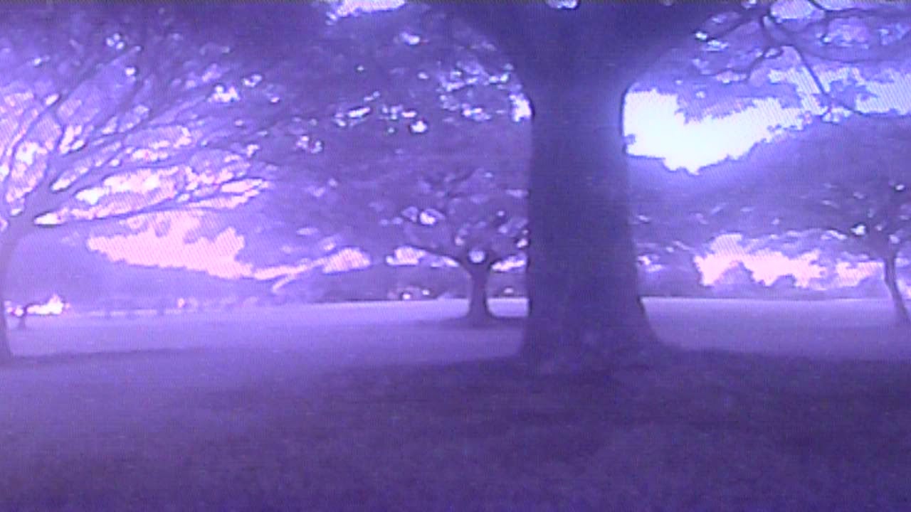 10/22/2017 Eachine Racer 250 Patsy T Mink park 2 - YouTube