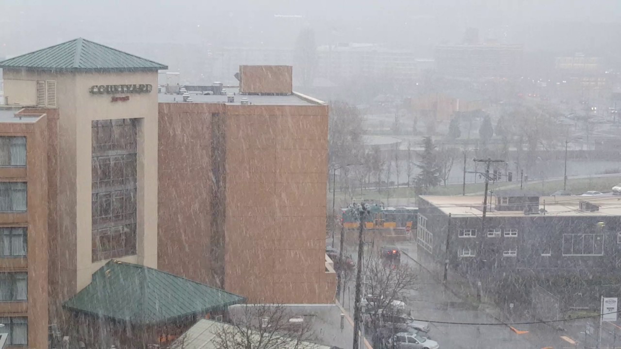 Seattle Snowfall on 27th Feb 2017 - YouTube