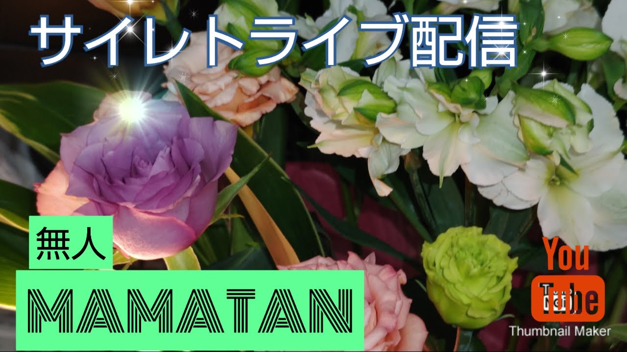 MAMATANライブ配信サイレント無人 - YouTube