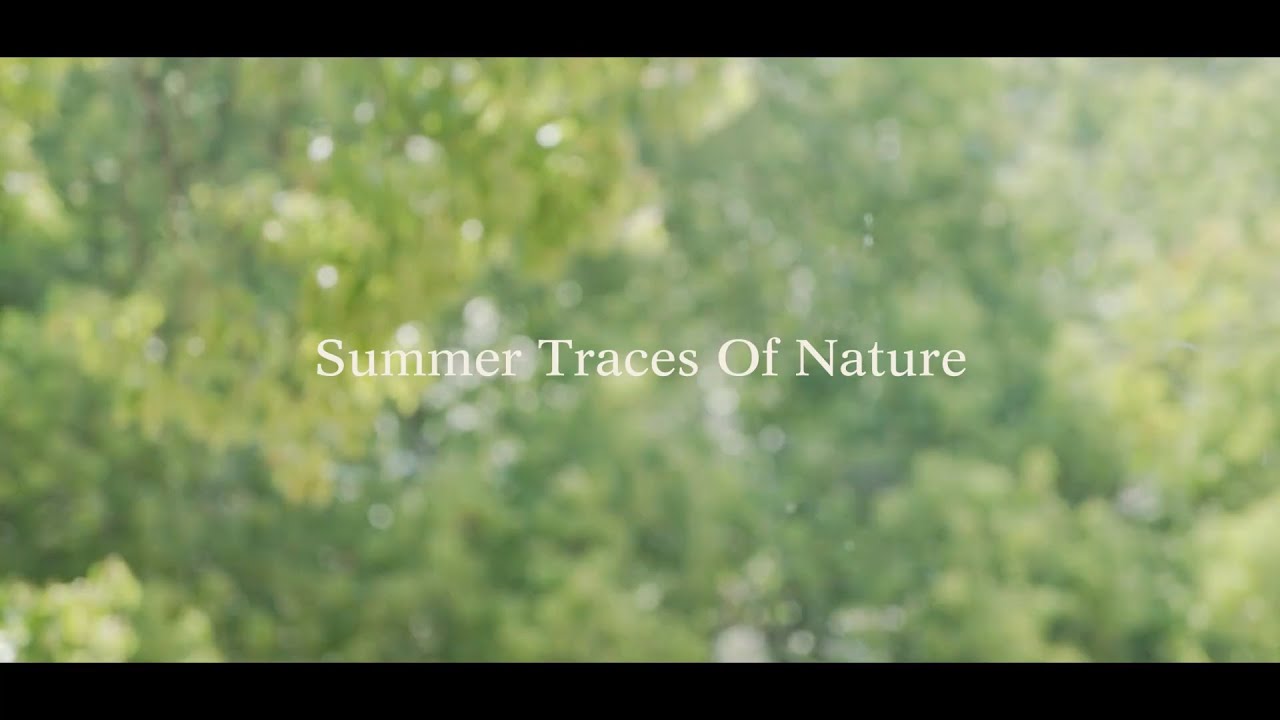Traces of Nature - YouTube