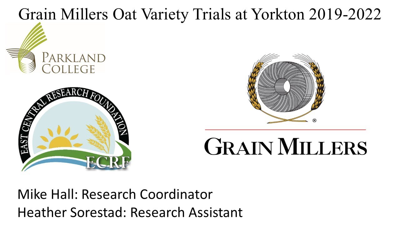 Grain Millers Oat Variety Trials - YouTube
