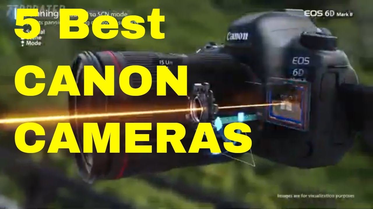 5 Best CANON CAMERAS 2021 - YouTube