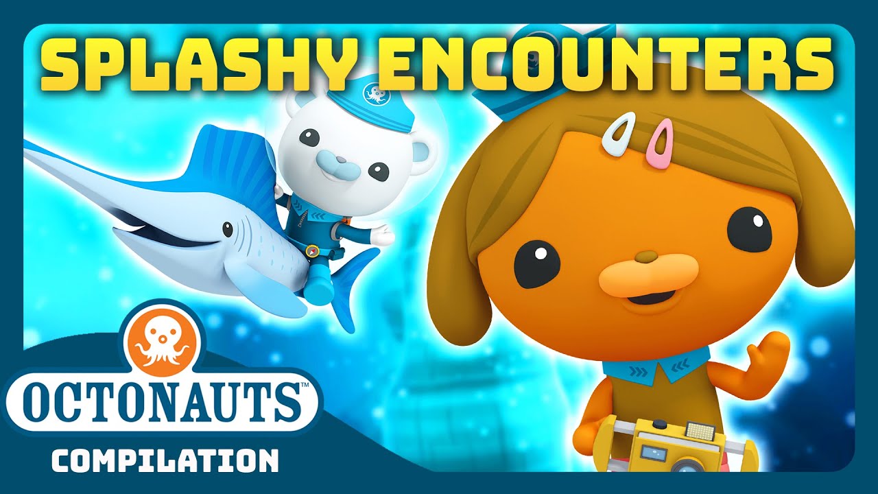 @Octonauts - 💦 SPLASHY Sea Creature Encounters! 🦑 | 3 Hours+ Full ...