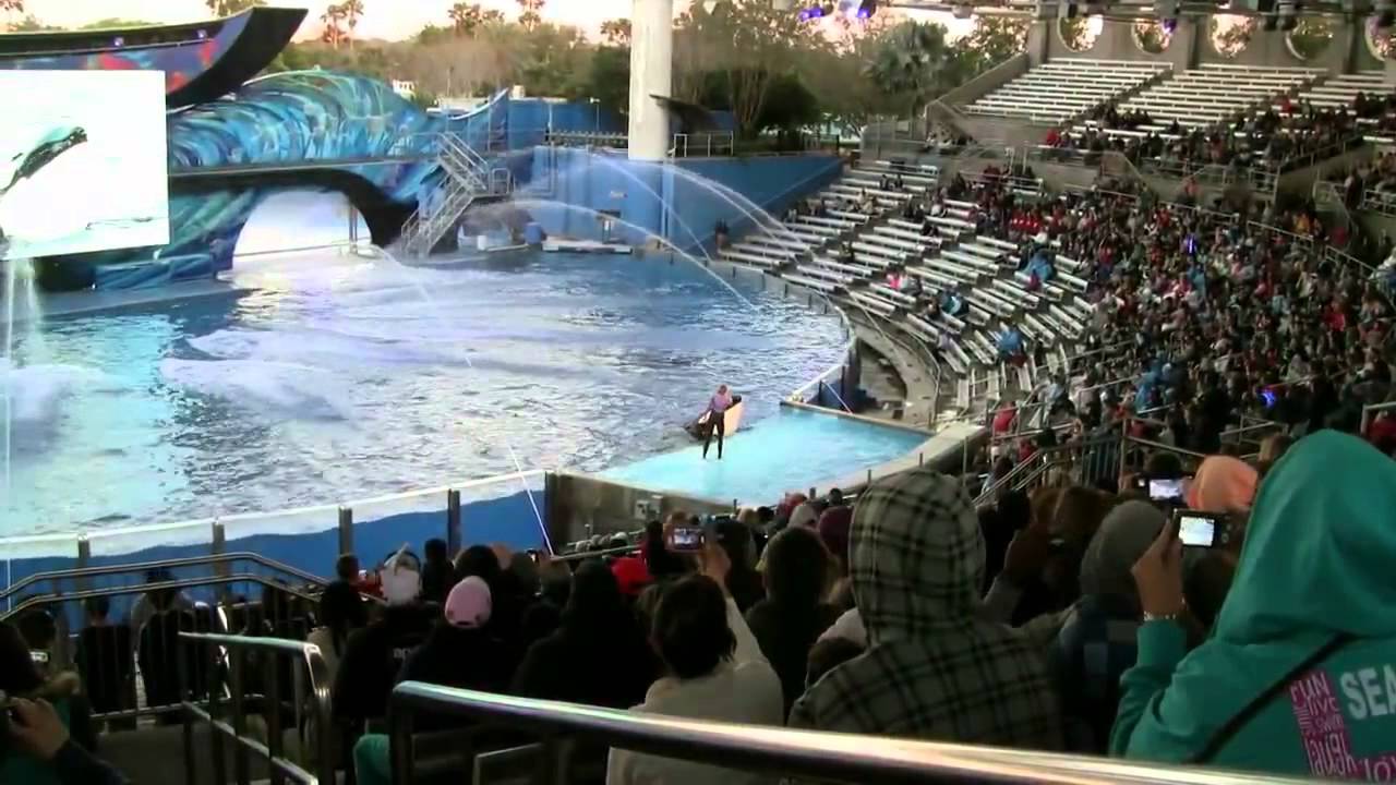 Florida 2013 Pt13 Shamu Rocks - YouTube