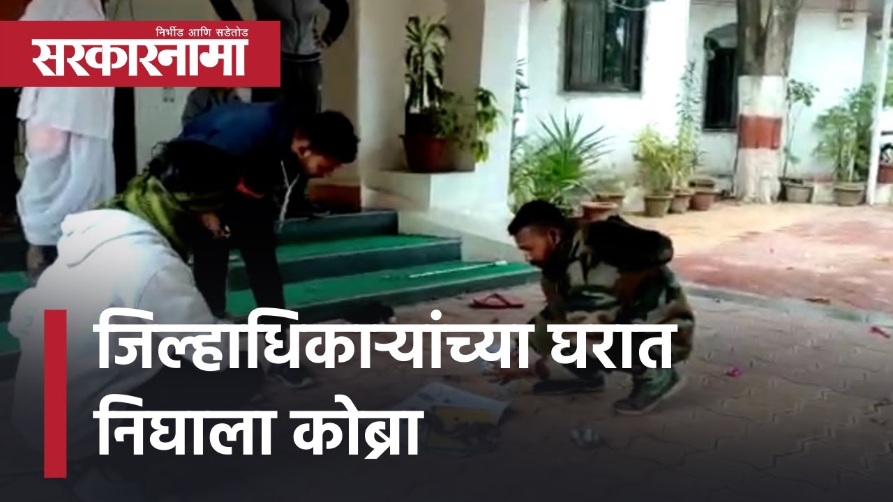 Collector Amol Yedge | जिल्हाधिकाऱ्यांच्या घरात निघाला कोब्रा ...