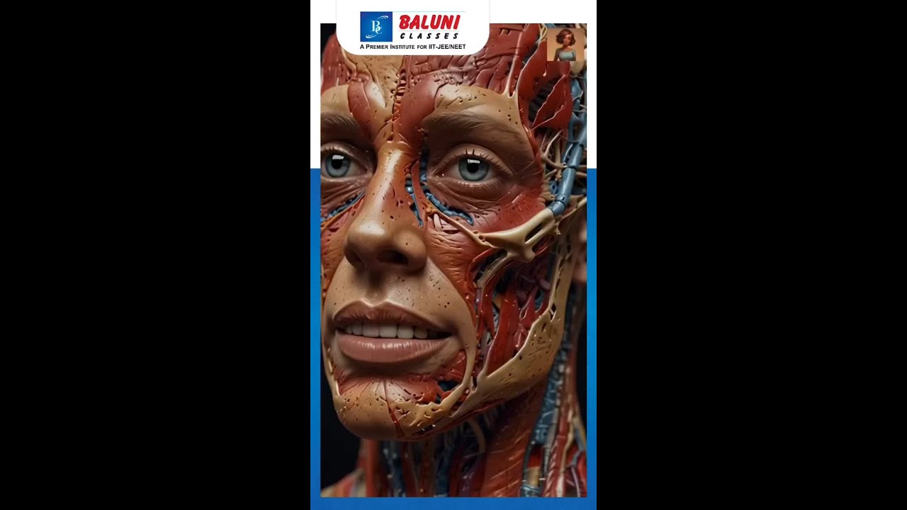 Baluni Classes A Top Premium Coaching Institute for NEET and IIT ...