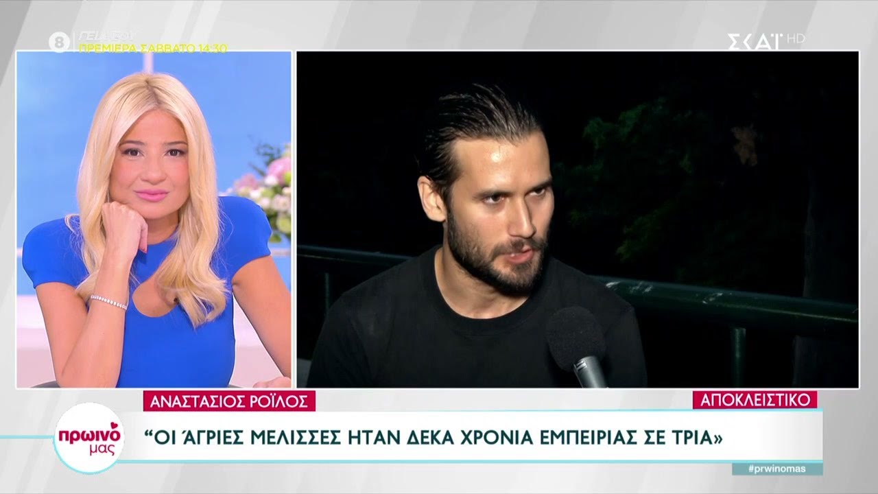 Αναστάσης Ροϊλός: "Οι Άγριες Μέλισσες ήταν δέκα χρόνια εμπειρίας σε ...