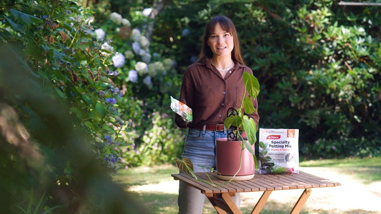 The Garden Gurus - Happy, Healthy Plants Keeping Those Indoor Plants ...