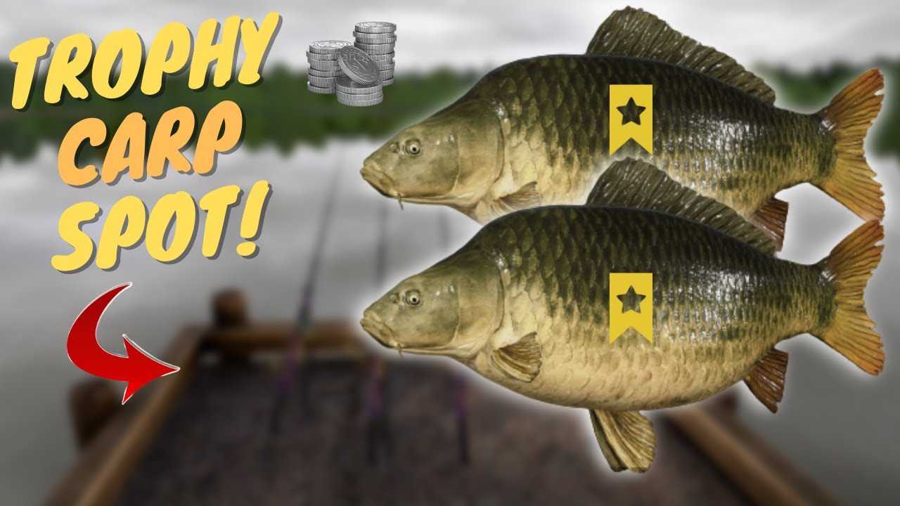 ACTIVE TROPHY CARP SPOT IN AMBER LAKE! 2 TROPHIES! #609 Russian fishing ...
