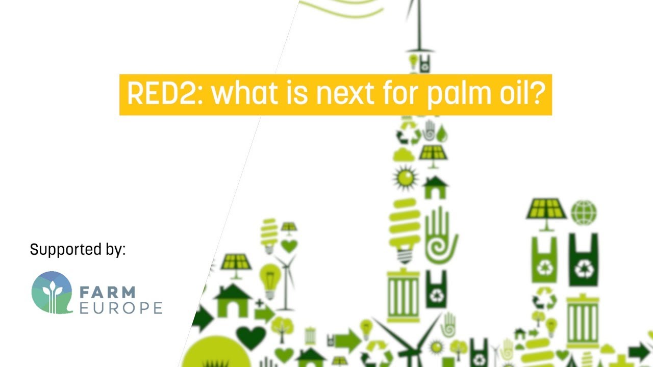 RED2: what is next for palm oil? - YouTube
