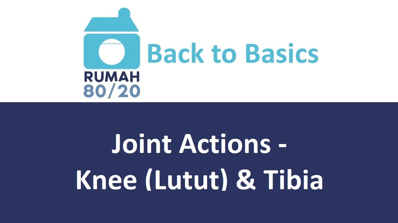 Joint Actions Knee & Tibia - YouTube