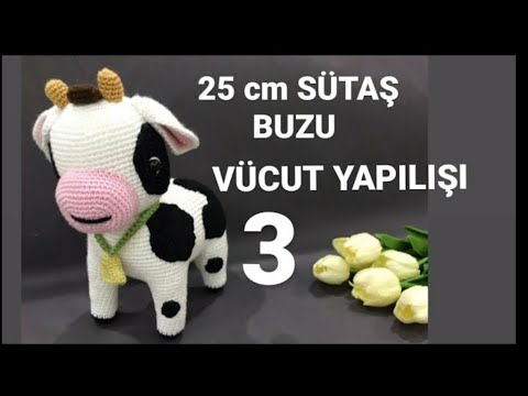 #subtitle SÜTAŞ BUZU VÜCUT #sütaşineği #sütaşbuzu
