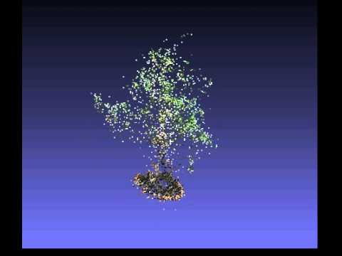 image based 3D reconstruction of a indoor tree (point cloud) - YouTube