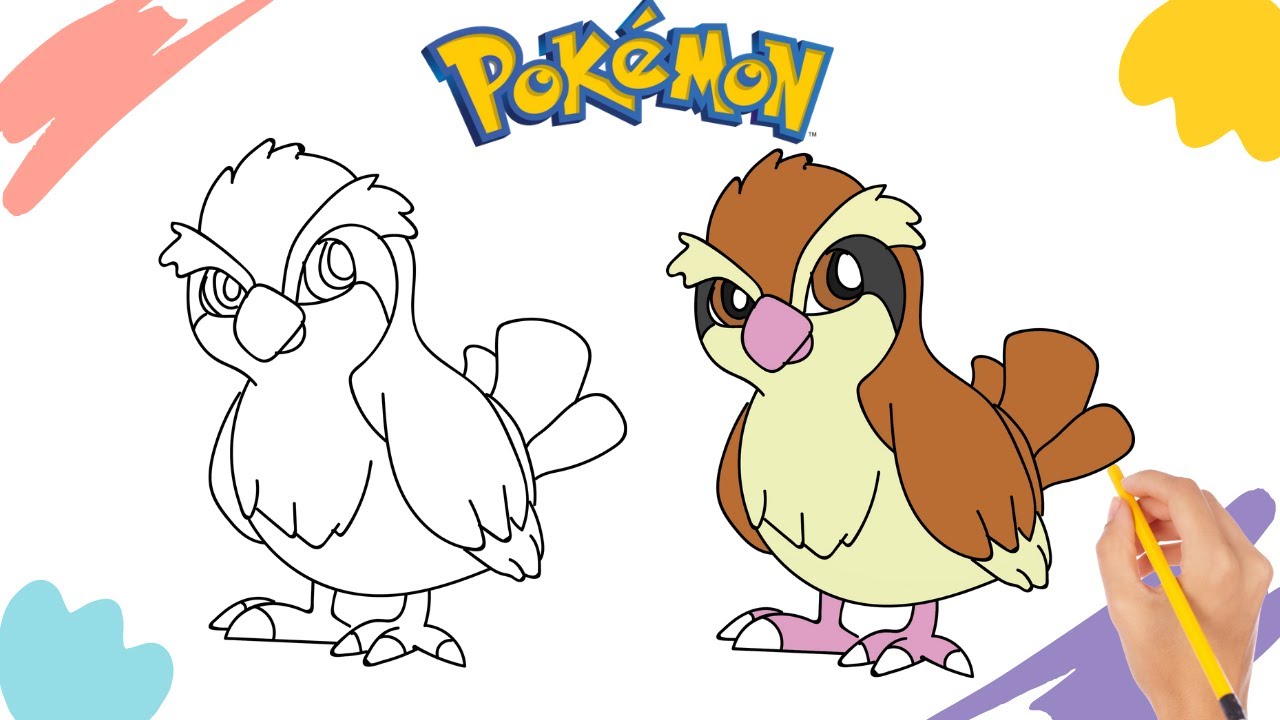 How to draw Pidgey Pokemon easy | Kitz Drawing - YouTube