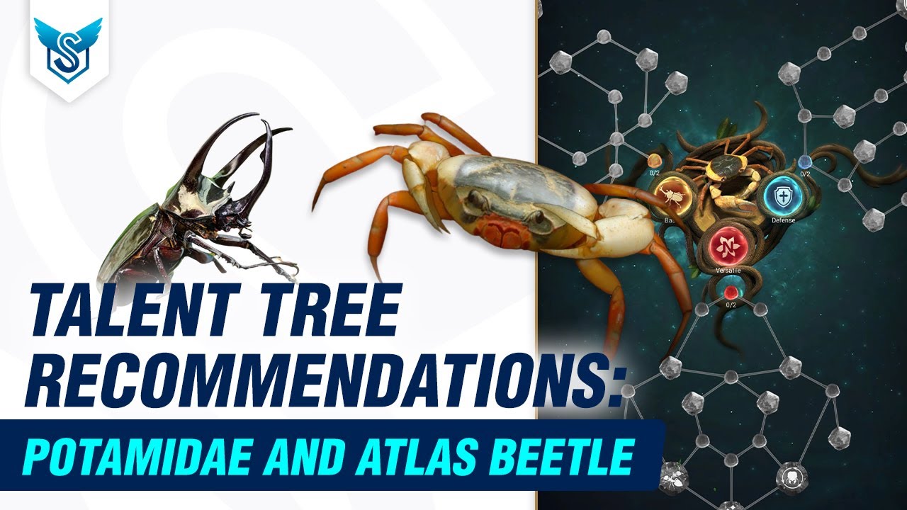 Talent Tree Recommendations: Potamidae and Atlas Beetle - The Ants ...