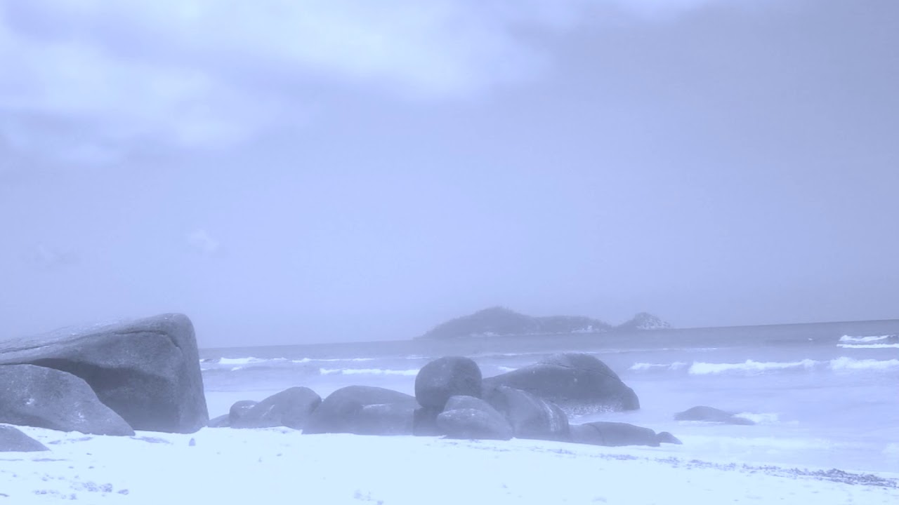 My Heart Will Go On Cover by Rachel Leach - YouTube