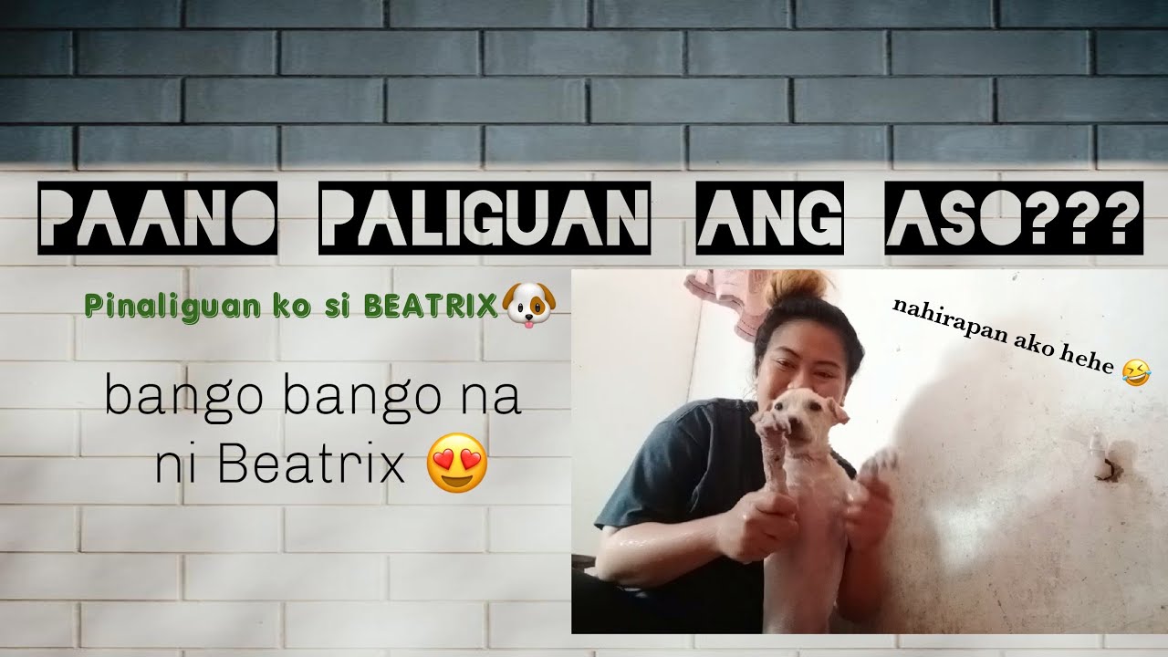 Paano Mag ligo ng aso...(Pinaliguan ko si BEATRIX ang asong Aspin ...