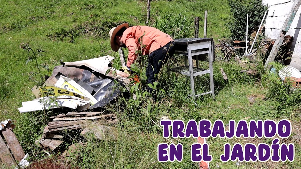 Recuperando una zona descuidada del jardín y no podré sembrar plantas ...