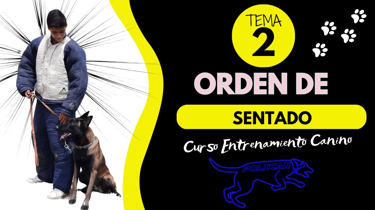Entrenando a mi perro (Parte 2) Todas Las Razas De Perros Consejos Que ...