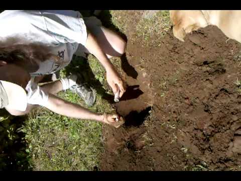 Smoking out the gophers - YouTube