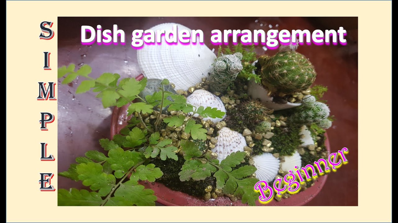 How To: Beginner Simple Succulent Dish Garden Arrangement Idea with ...