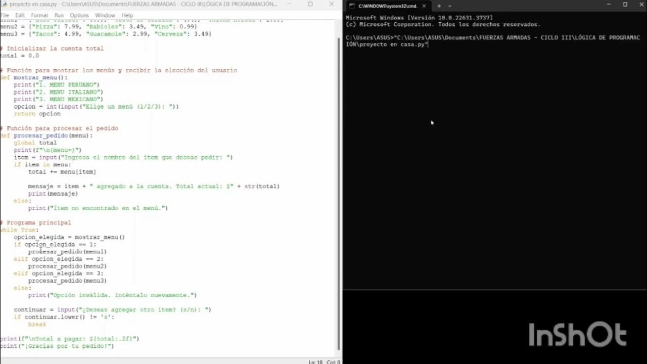 PROYECTO CON PYTHON - YouTube
