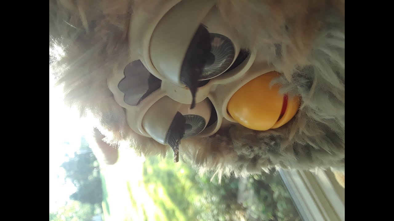 Furbles - YouTube
