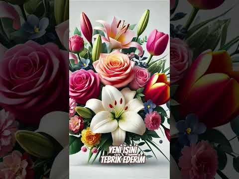 Tebrik Mesajı | Yeni İş Kutlama