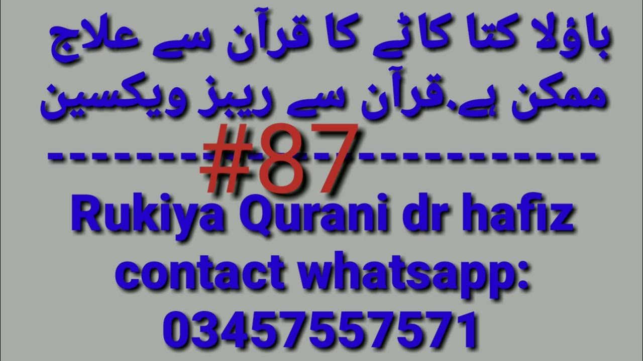 Rabies Dog Vaccine With Quran 87 Rukiya Qurani Drhafiz rabies-dog-vaccine-with-quran-87-rukiya-qurani-drhafiz