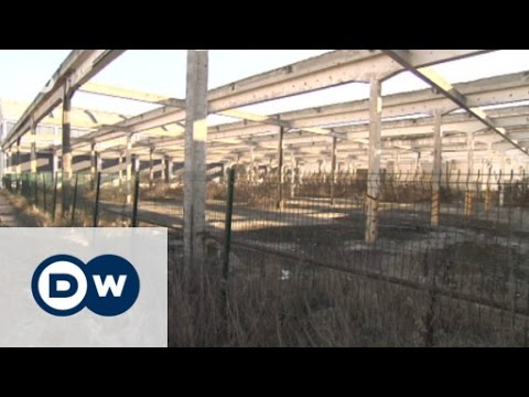 Präsident Trump – Deutsche Firmen besorgt | Made in Germany