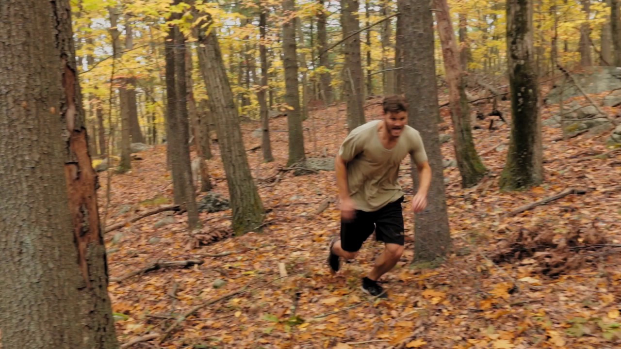 Forest Chase - YouTube