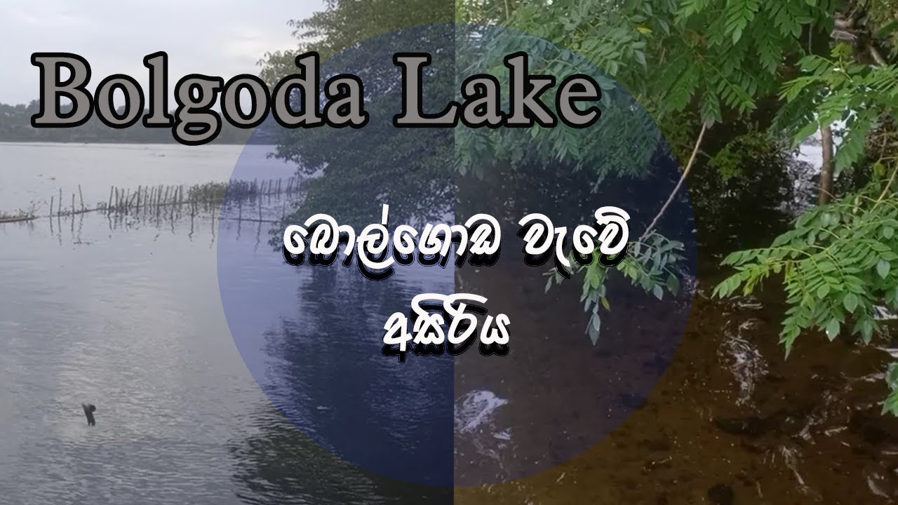 බොල්ගොඩ වැව | Bolgoda Lake | The island in bolgoda sri lanka - YouTube