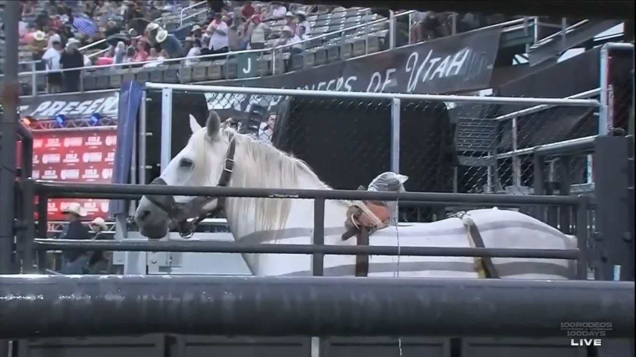 C5 Rodeo's Virgil - YouTube