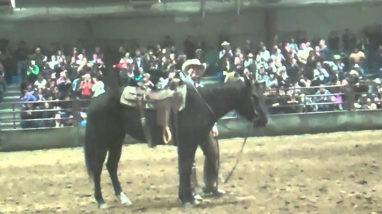 Cain Quam - Saskatoon colt competition 2012 - handstand - YouTube