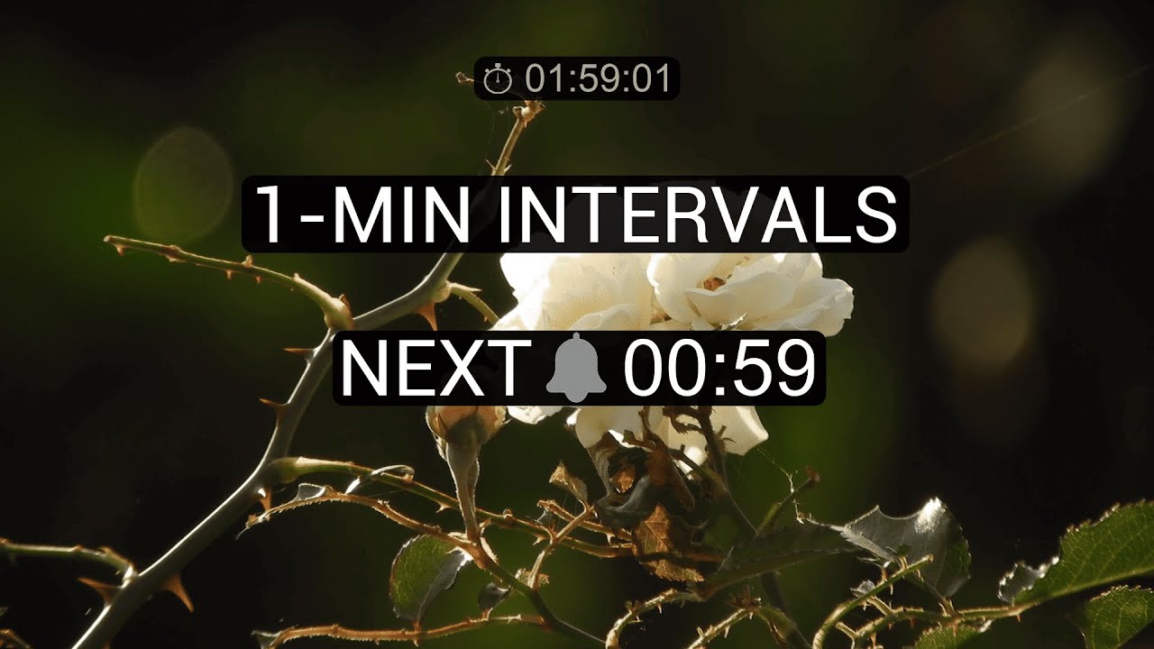 1-MIN INTERVALS 🔔 | Bell every 1 minute | 2 Hours - YouTube
