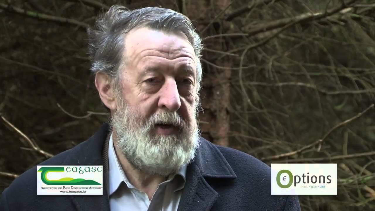 Michael Ryan – Forester - YouTube