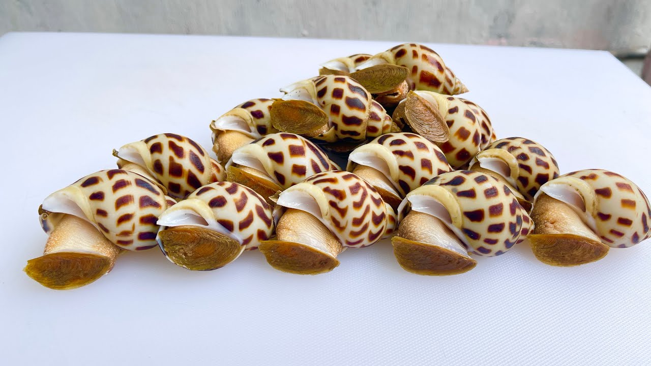 stir-fried sea snails with water spinach // gun chef - YouTube