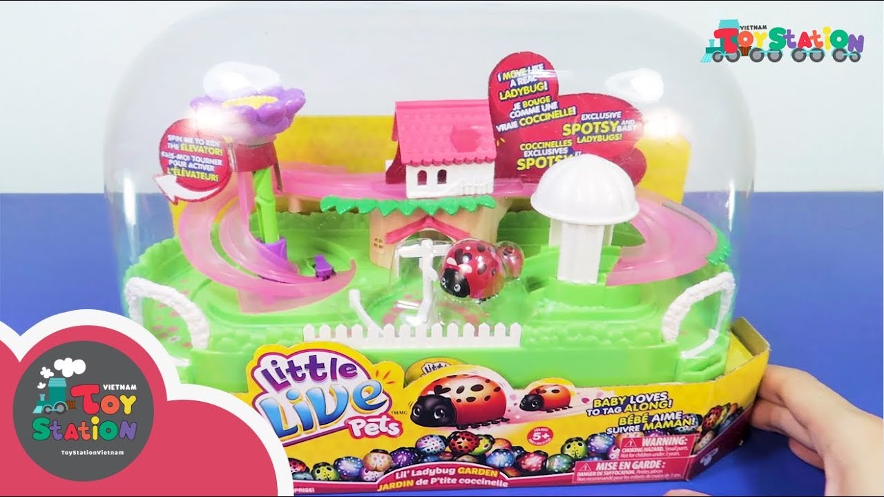 Little Live Pets Ladybug khu vườn Bọ Rùa ToyStation 162 - YouTube