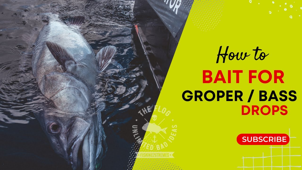 How To Bait For Groper / Bass Drops - YouTube