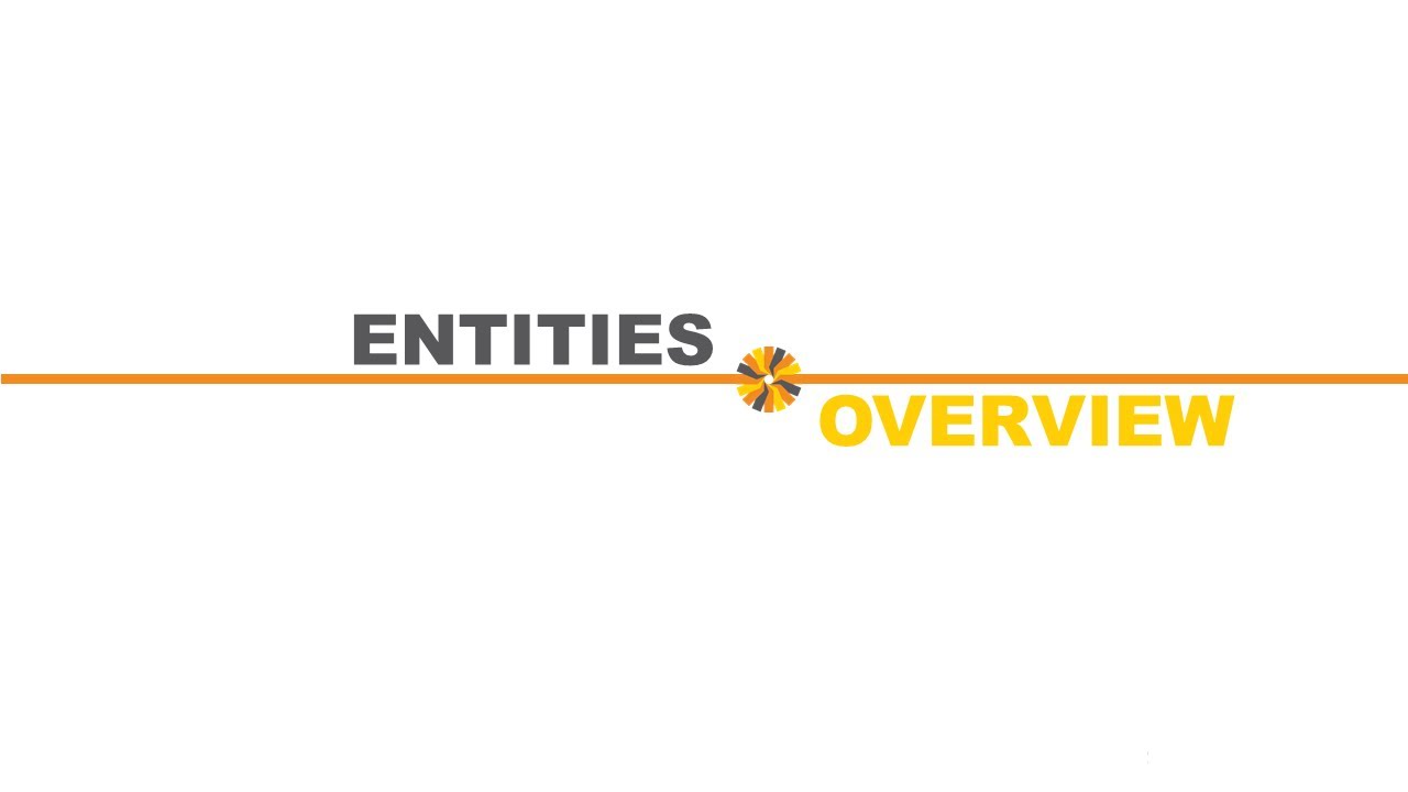 Entities Overview - YouTube