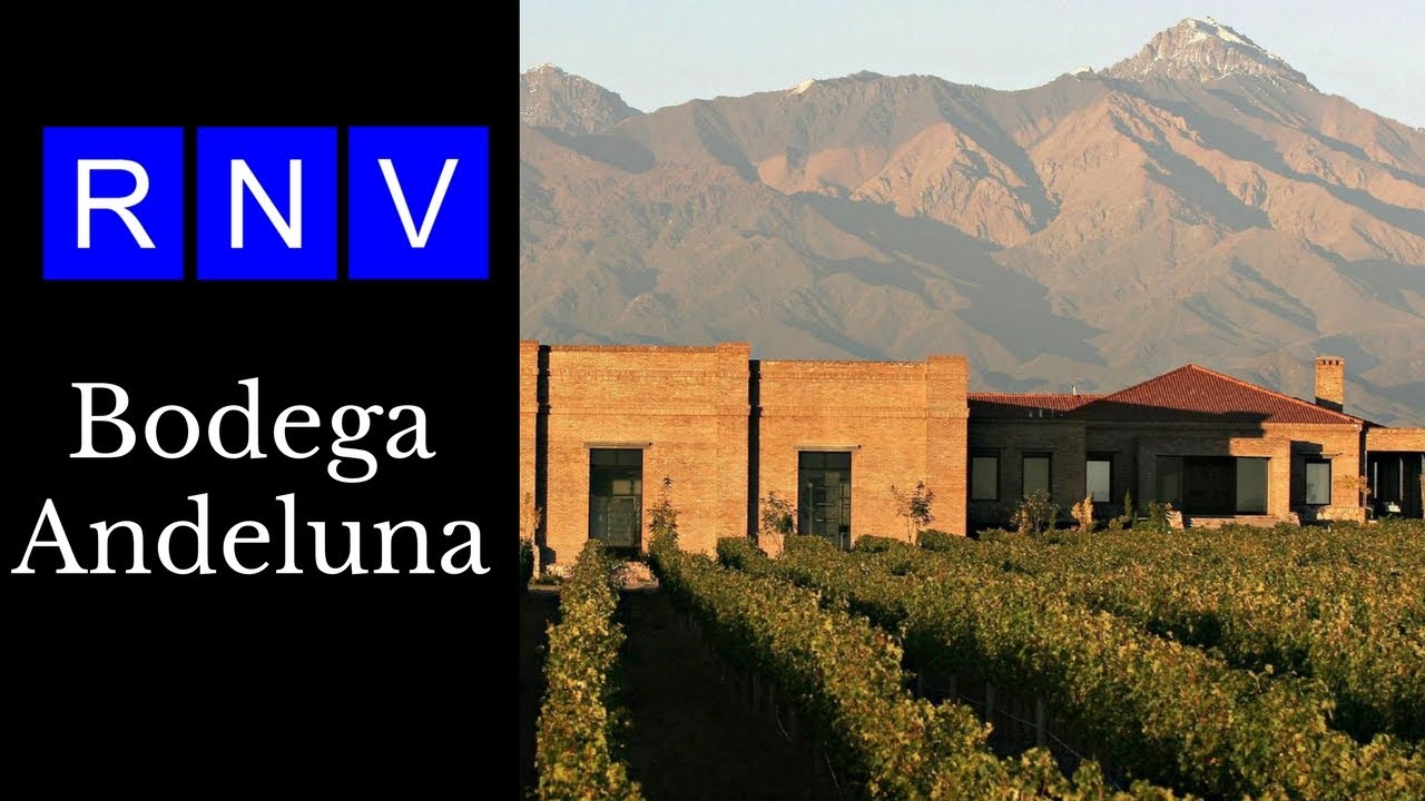 Tour Virtual Bodega Andeluna Mendoza Argentina RNV - Turismo Bodegas y ...