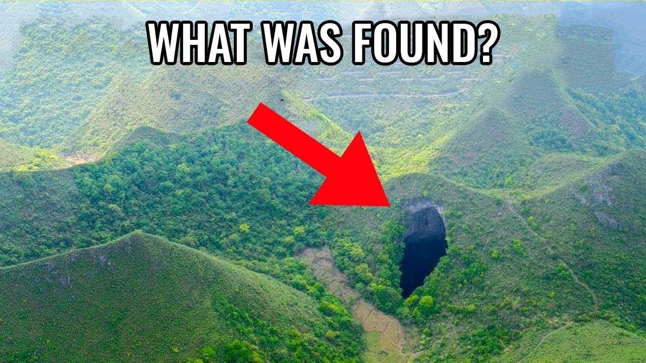 Researchers Make an Unexpected Discovery! There Is a Huge Forest in ...