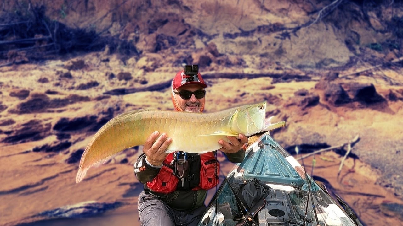 A AVENTURA AMAZÔNICA CONTINUA. AMANHECEU E PARTIMOS ATRÁS DE PEIXE ...