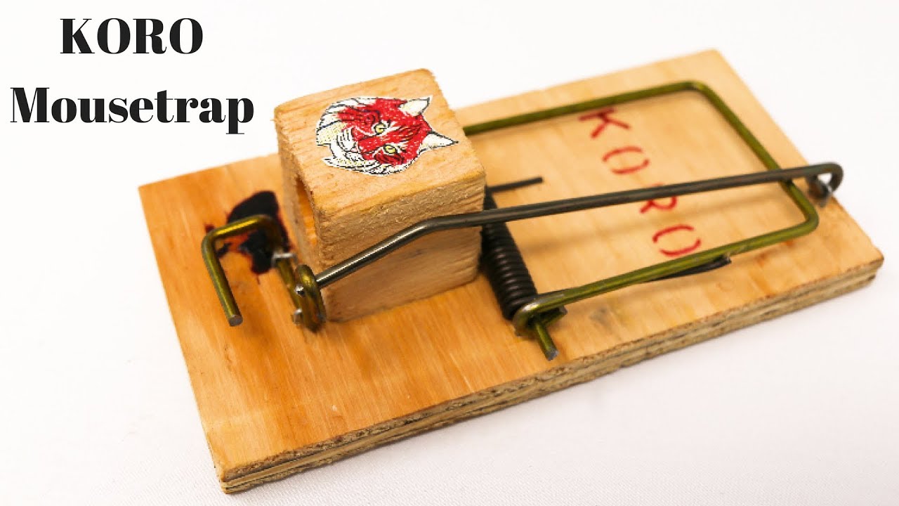 The KORO Snap Mousetrap From Canada. Very Powerful Design - YouTube