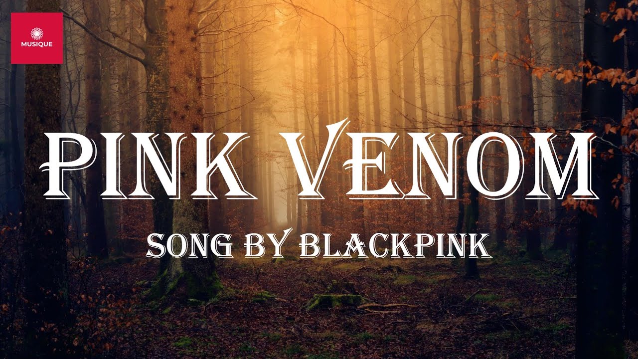 BLACKPINK - ‘Pink Venom’ (Lyrics) - YouTube