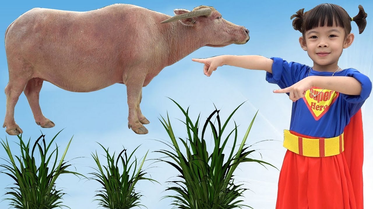 Con Trâu – Siêu Nhân Đi Chăn Trâu Và Xem Trâu AnAn ToysReview TV - YouTube